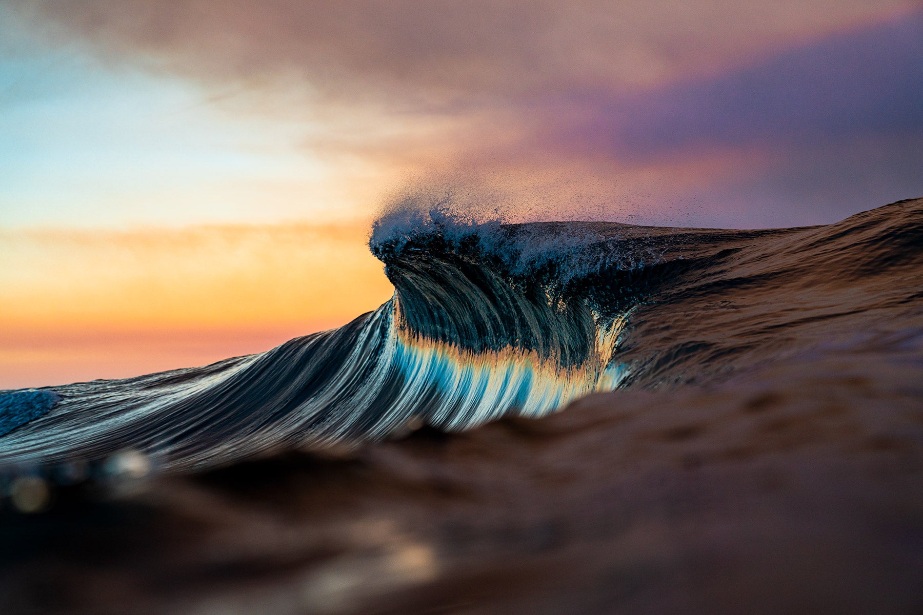 curve™ – Ryan Pernofski Store